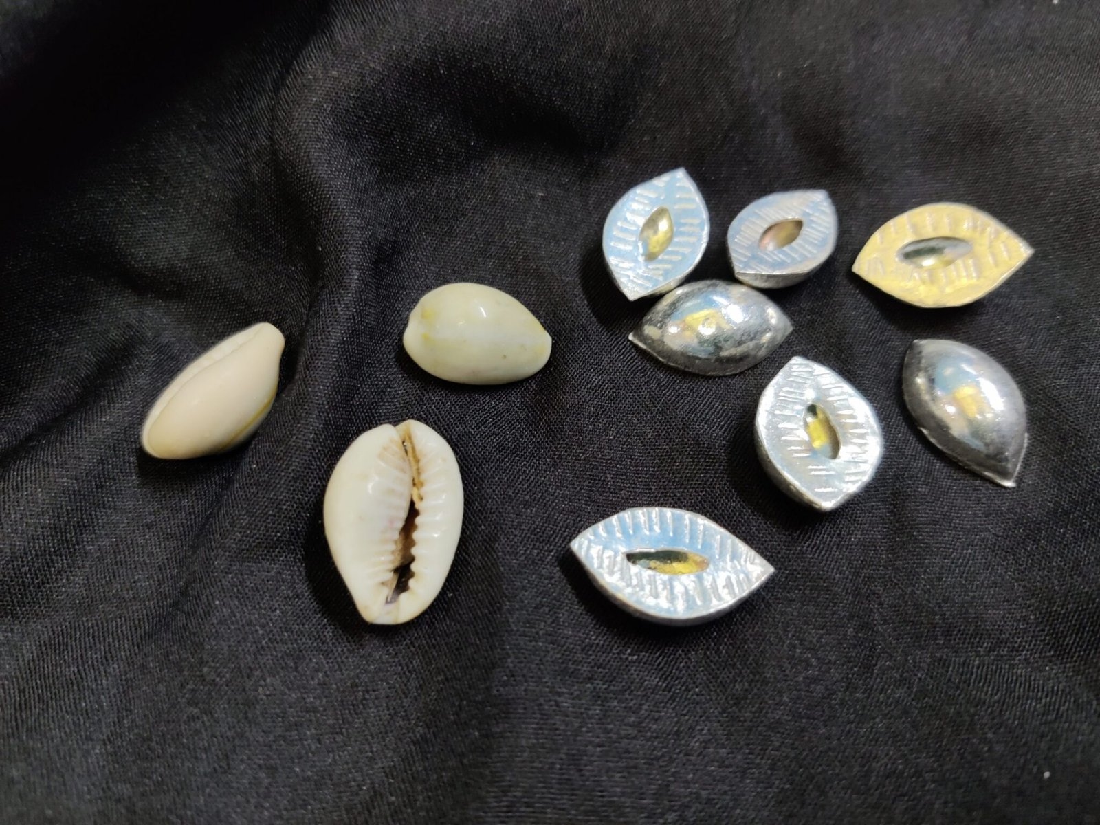 Cowrie Shells/ কড়ি/Kodi/Kori